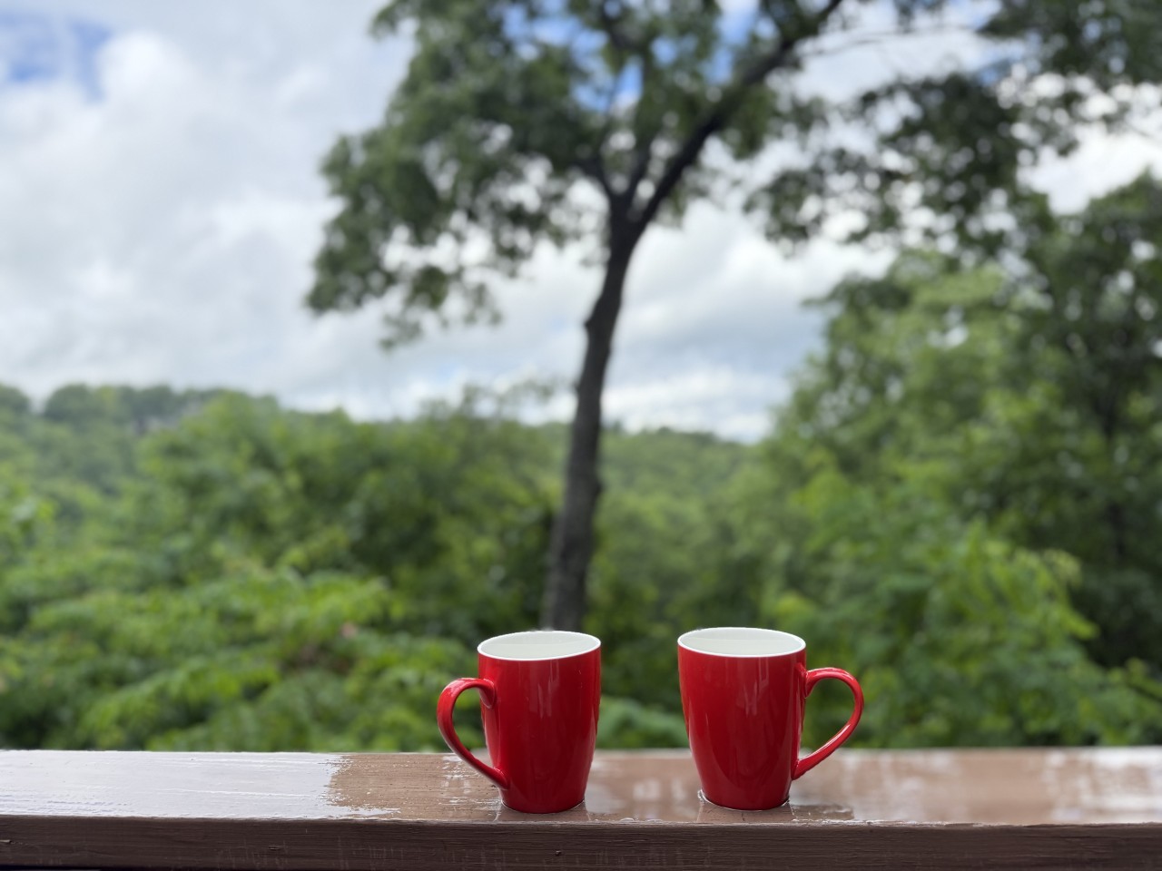 Pets Friendly | Swim, Private Sauna, Hottub, Views - Gatlinburg, TN