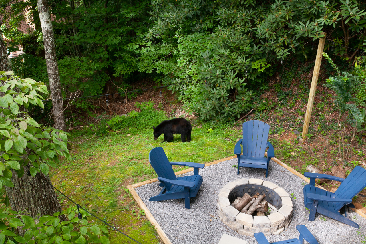 Serenity Escape - Cozy Cabin With Fire Pit And Game Room - Gatlinburg, TN