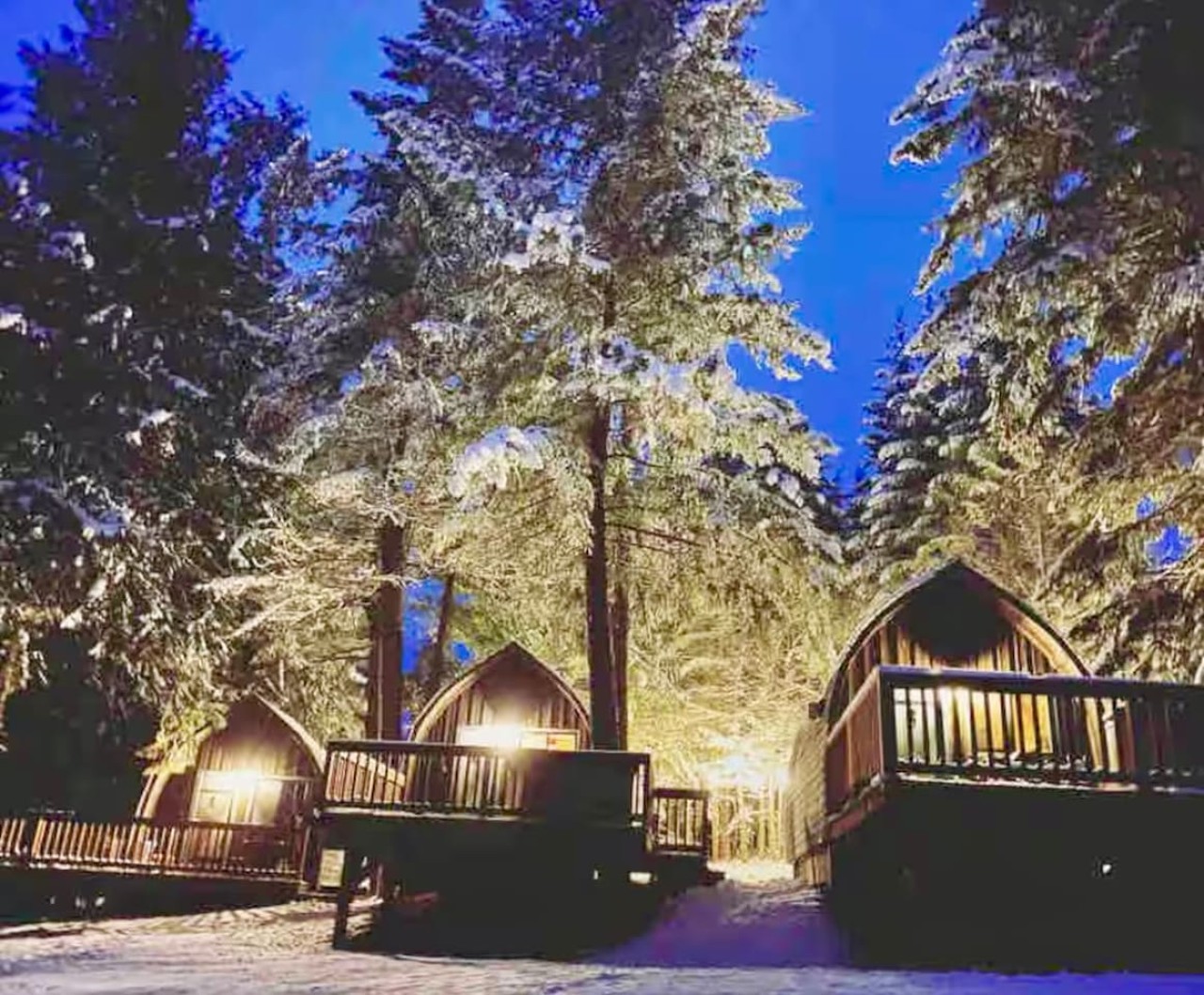 Cozy Cabin #3 W/hot Tub (Sicamous) - Canadá