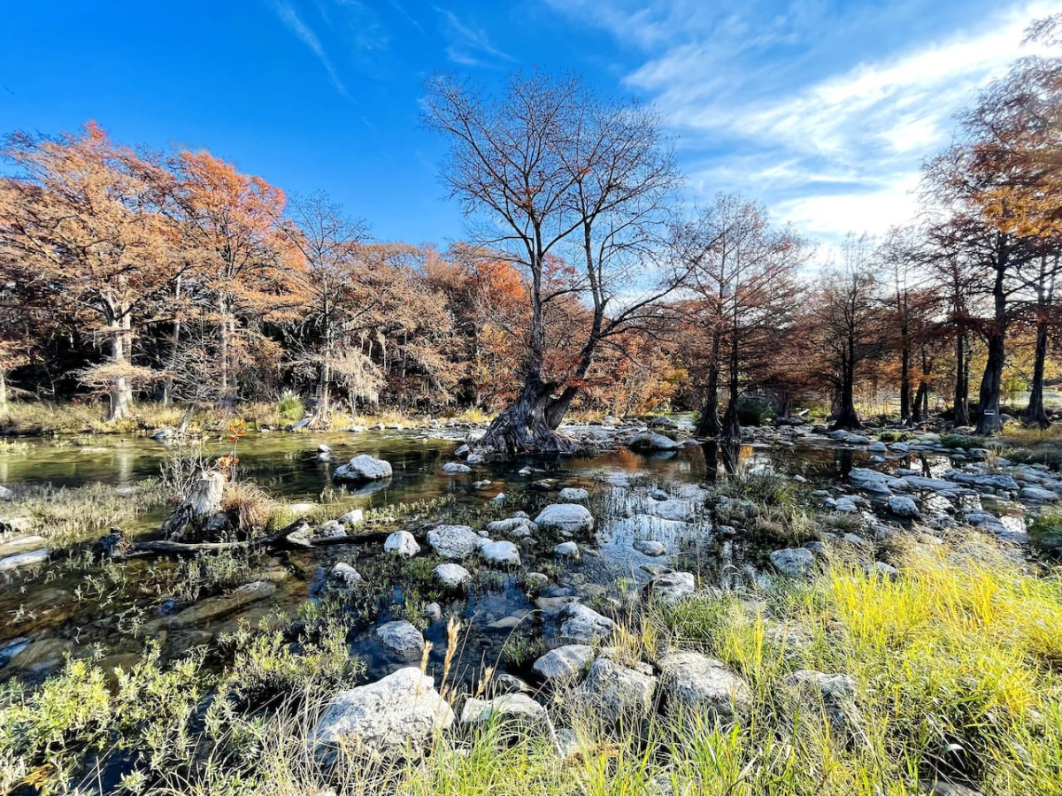 Agave Rapids #105 - New Braunfels, TX