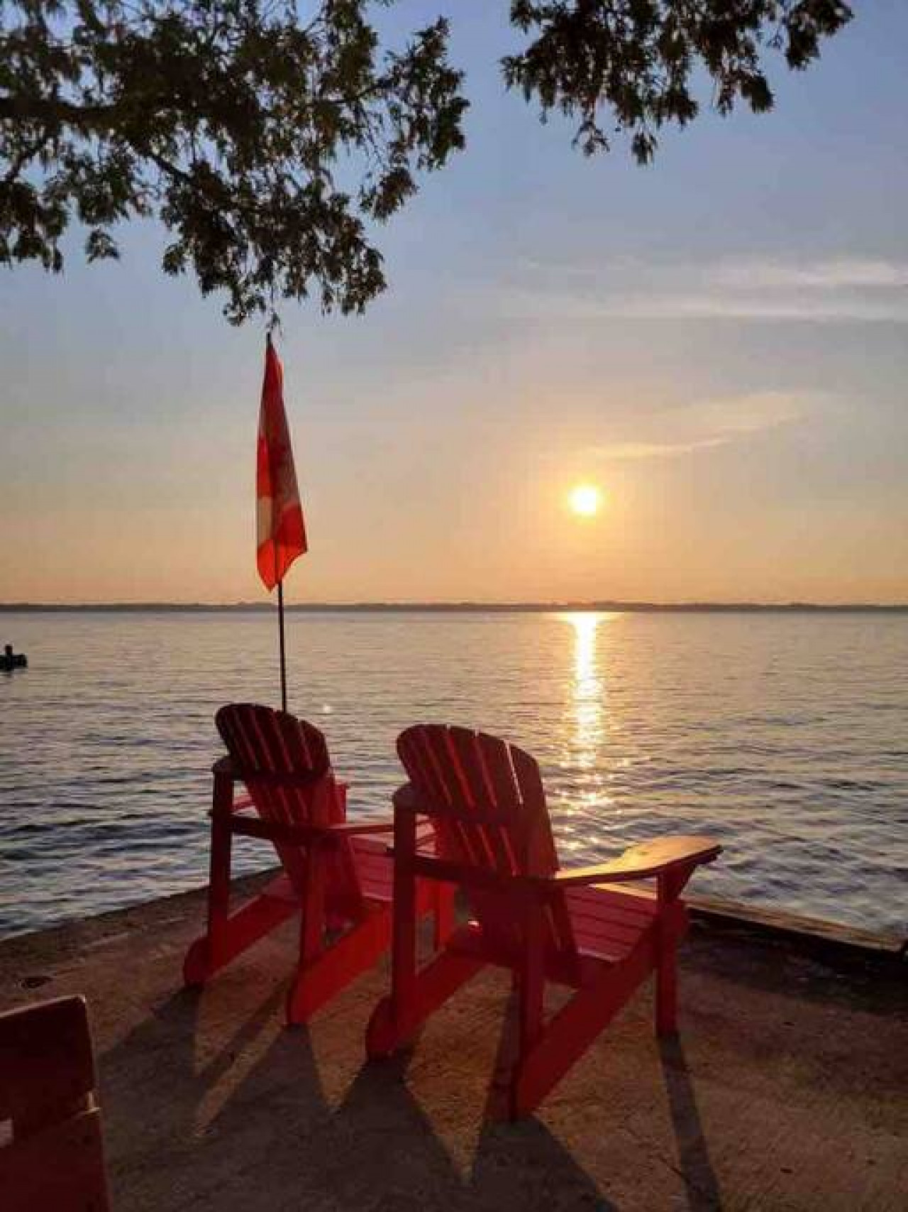 Rustic Pines Waterfront Cottage *Clear Water* - Kawartha Lakes